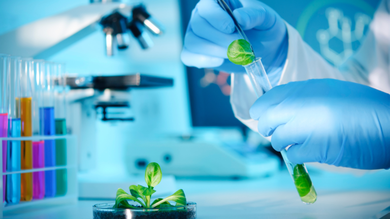 Novel technologies add flavor to food safety and quality testing | DKSH ...